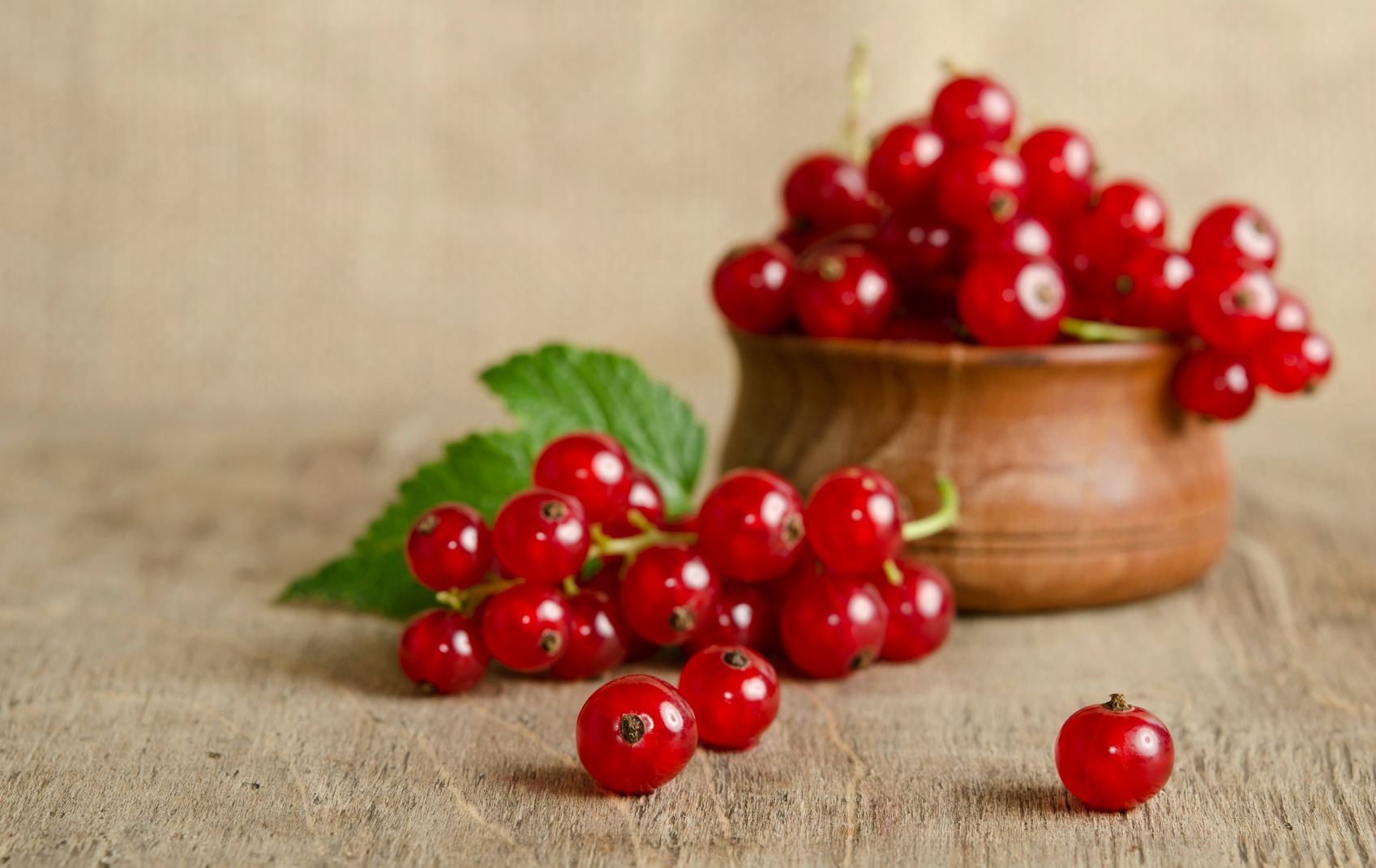 Ribes: proprietà e benefici