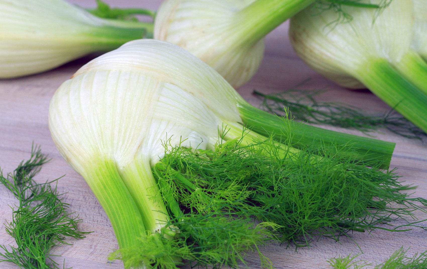 Finocchi alleati della digestione e contro gastriti e coliti: tutte le ...