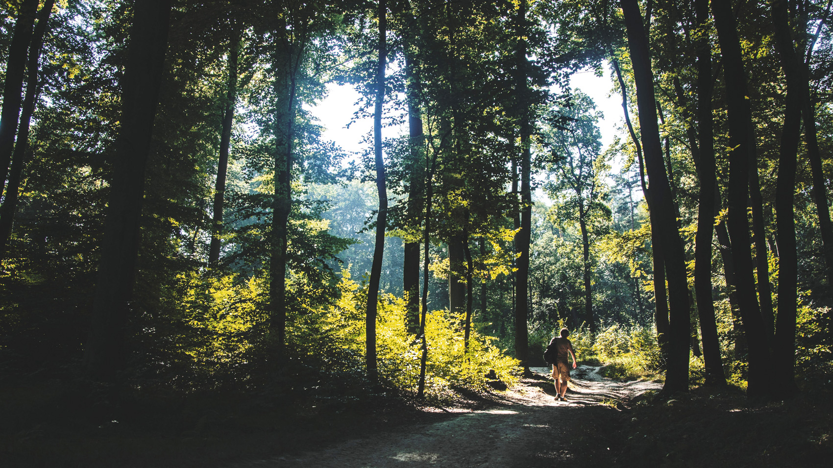 Bagni di foresta, 3 mete da provare in Italia - Starbene