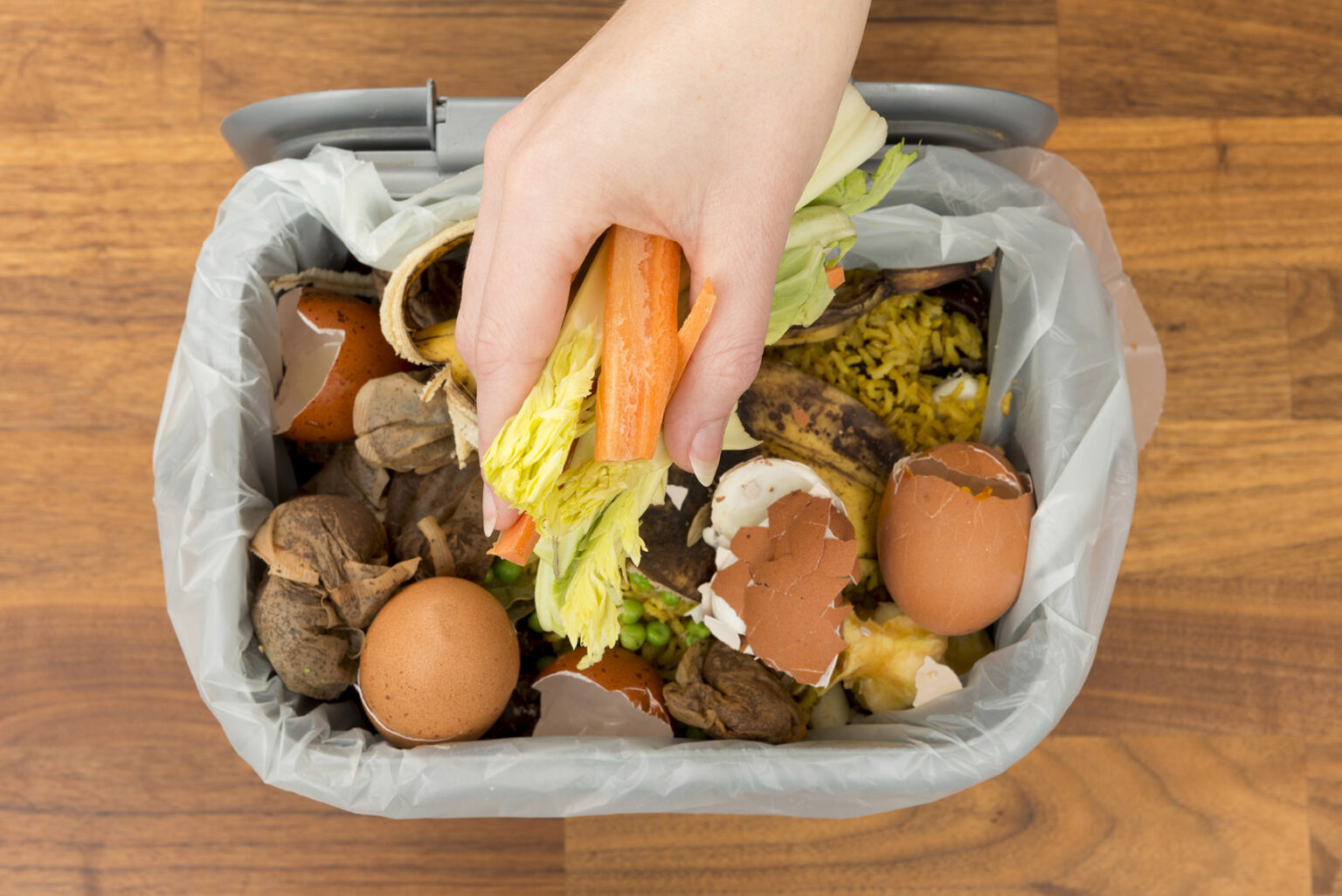 Raccolta differenziata: cosa buttare nell'umido (o organico)